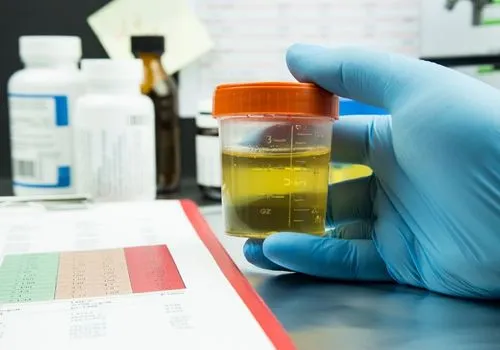 Understanding the Role of DOT Chain of Custody in Drug Testing