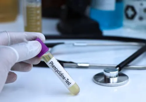 Understanding the Role of DOT Chain of Custody in Drug Testing